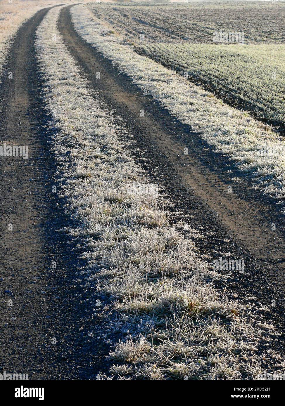 Cold country flowers hi-res stock photography and images - Alamy