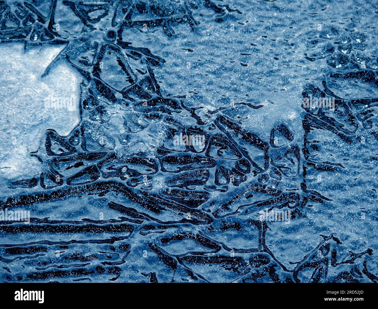 Ice crystals in the garden pond, ice patterns, ice formations, ice ...