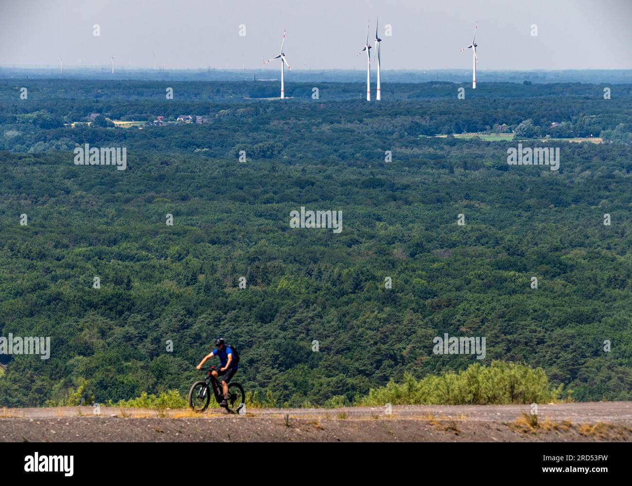The Haniel slagheap, 185-metre-high tailings pile, at Prosper Haniel ...