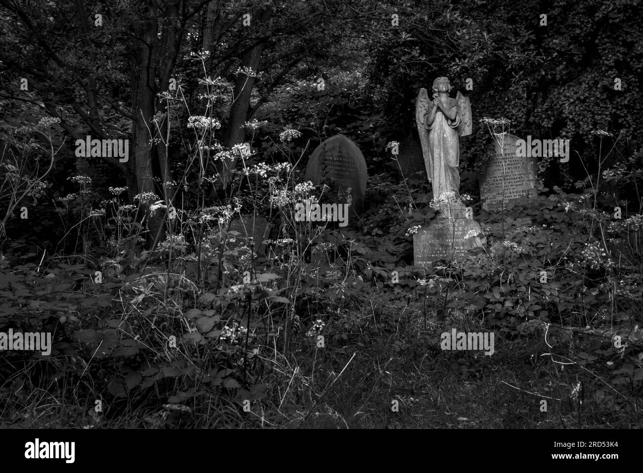 Brockley london Black and White Stock Photos & Images - Alamy