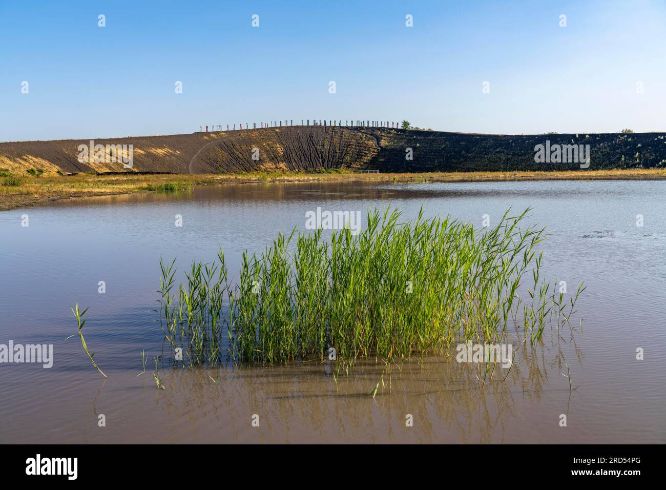 The Haniel slagheap, 185-metre-high tailings pile, at the Prosper ...