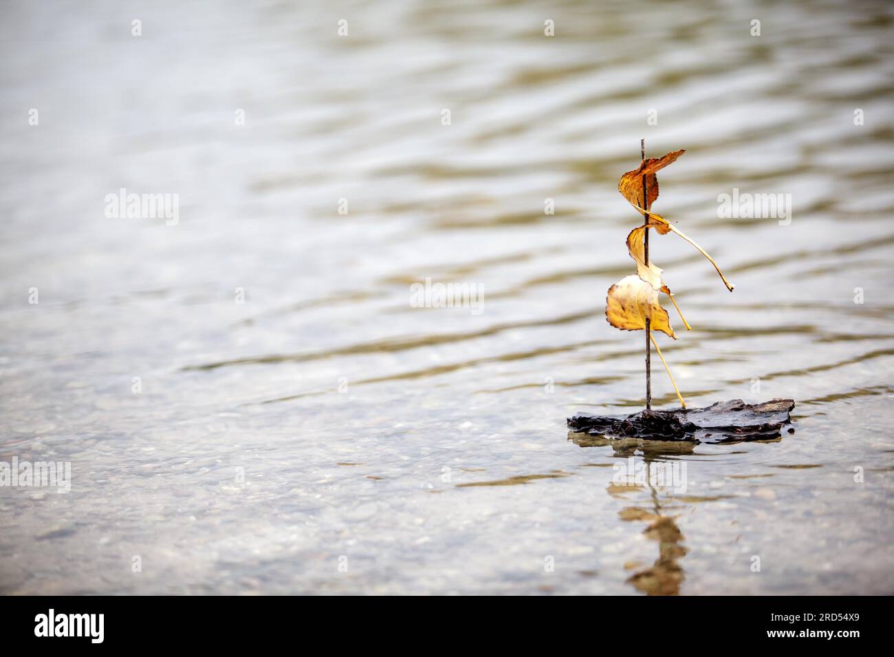 Simple boat made of tree bark on the river Stock Photo - Alamy