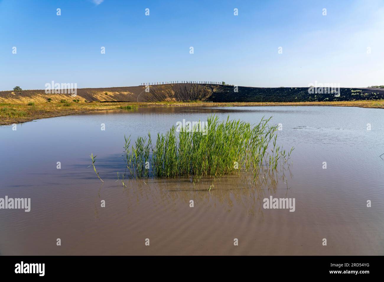 The Haniel slagheap, 185-metre-high tailings pile, at the Prosper ...