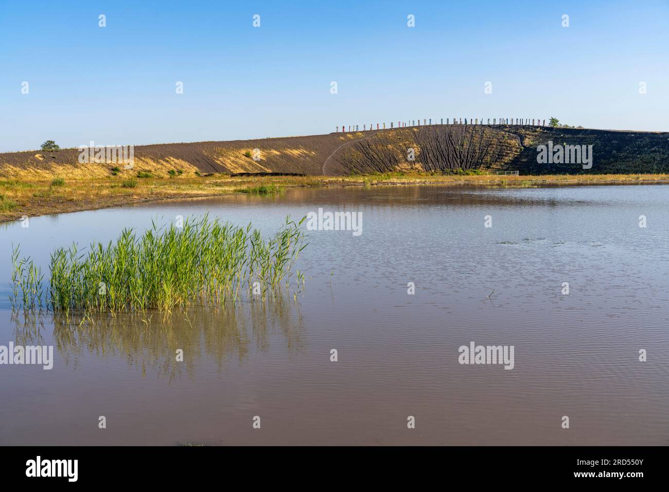 The Haniel slagheap, 185-metre-high tailings pile, at the Prosper ...