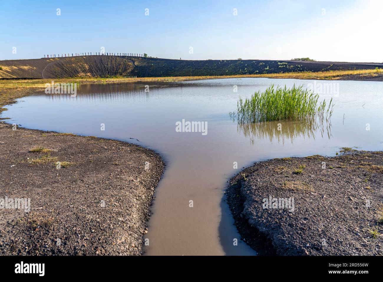 The Haniel slagheap, 185-metre-high tailings pile, at the Prosper ...