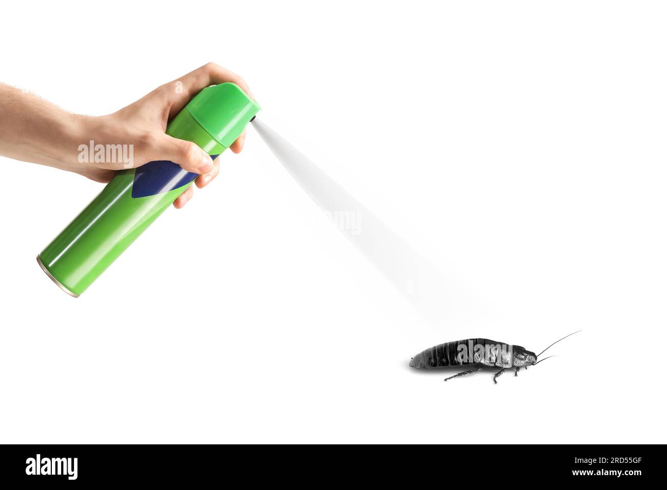 Male hand spraying a cockroach isolated on white background Stock Photo ...