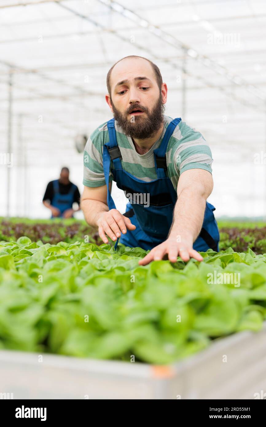 Zero pesticides hi-res stock photography and images - Alamy