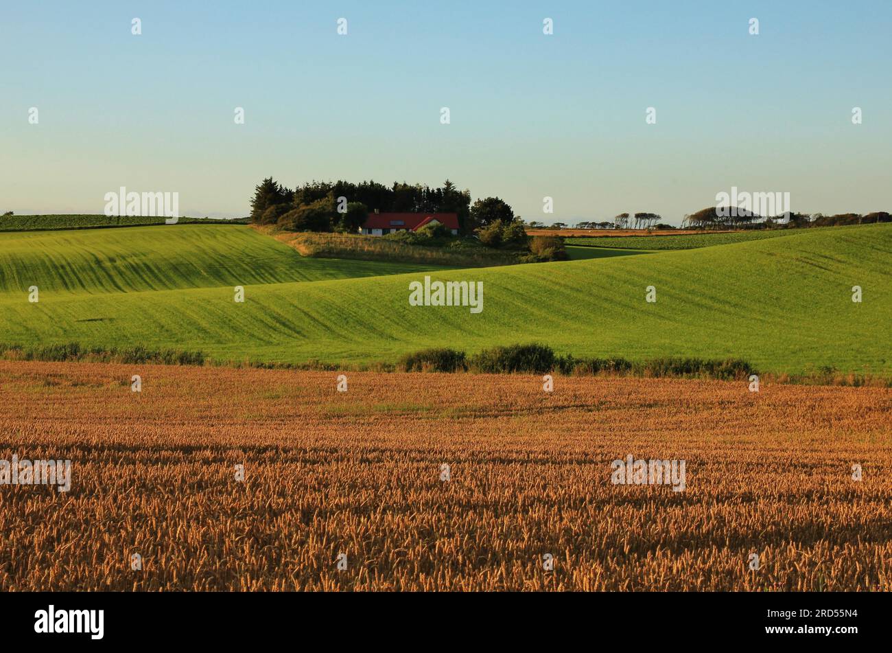 Rural summer landscape in Gottrup, Denmark Stock Photo - Alamy