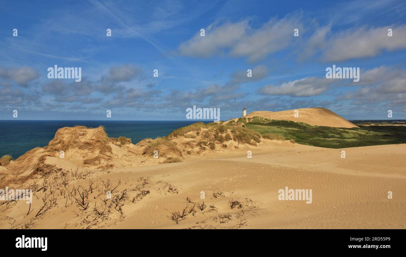 Summer day at the west coast of Denmark. 90 meter high sand dune ...