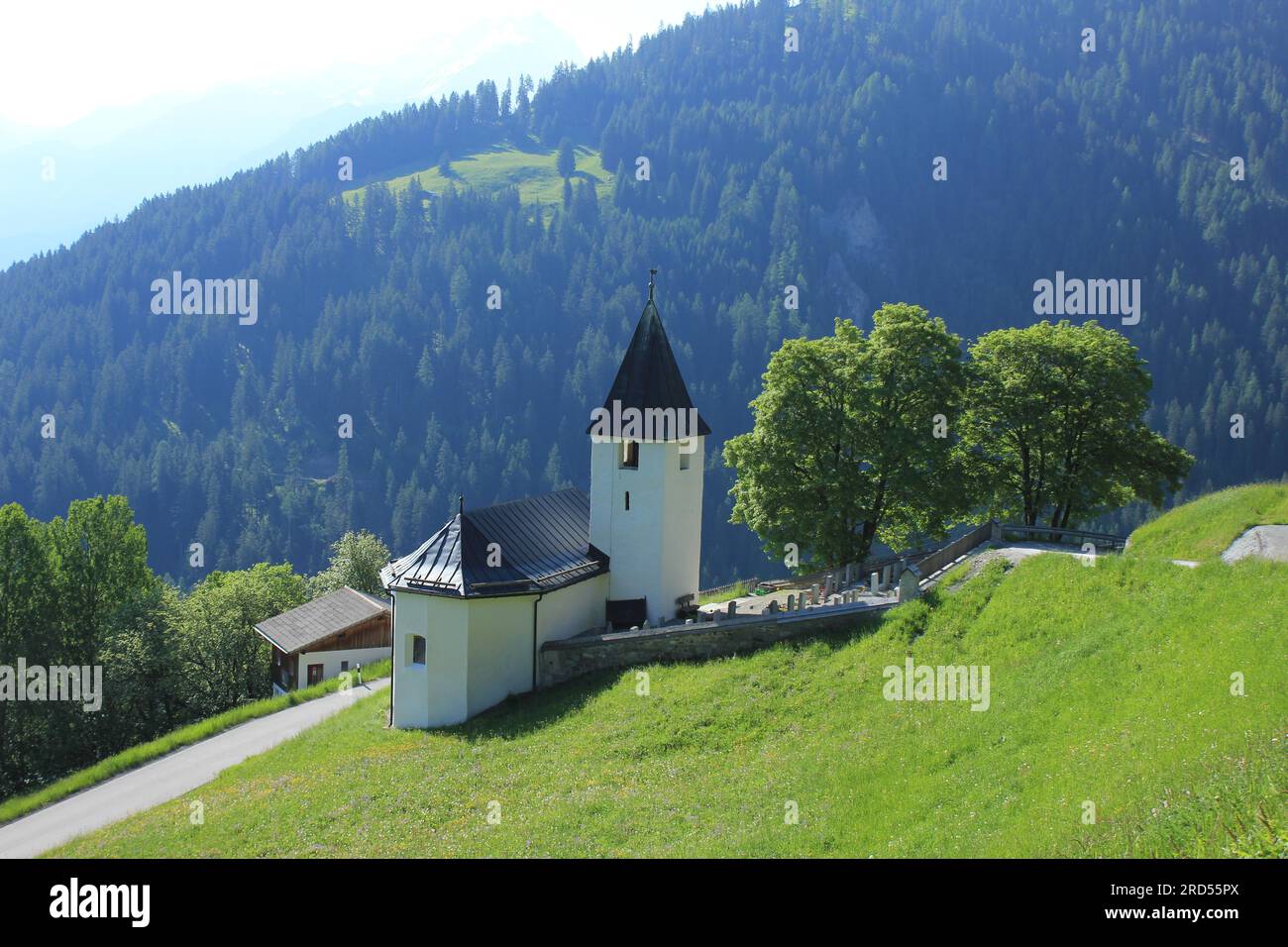 Tree sacral swiss hi-res stock photography and images - Alamy