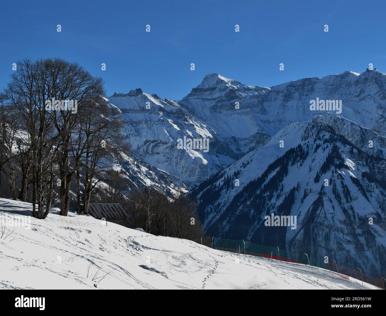 Beautiful day in winter hi-res stock photography and images - Alamy