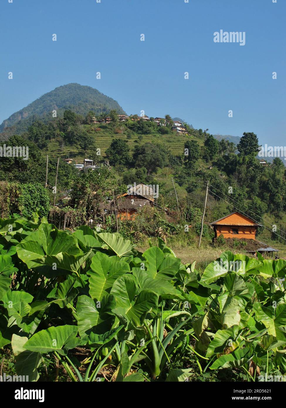 Hilly region of nepal hi-res stock photography and images - Alamy