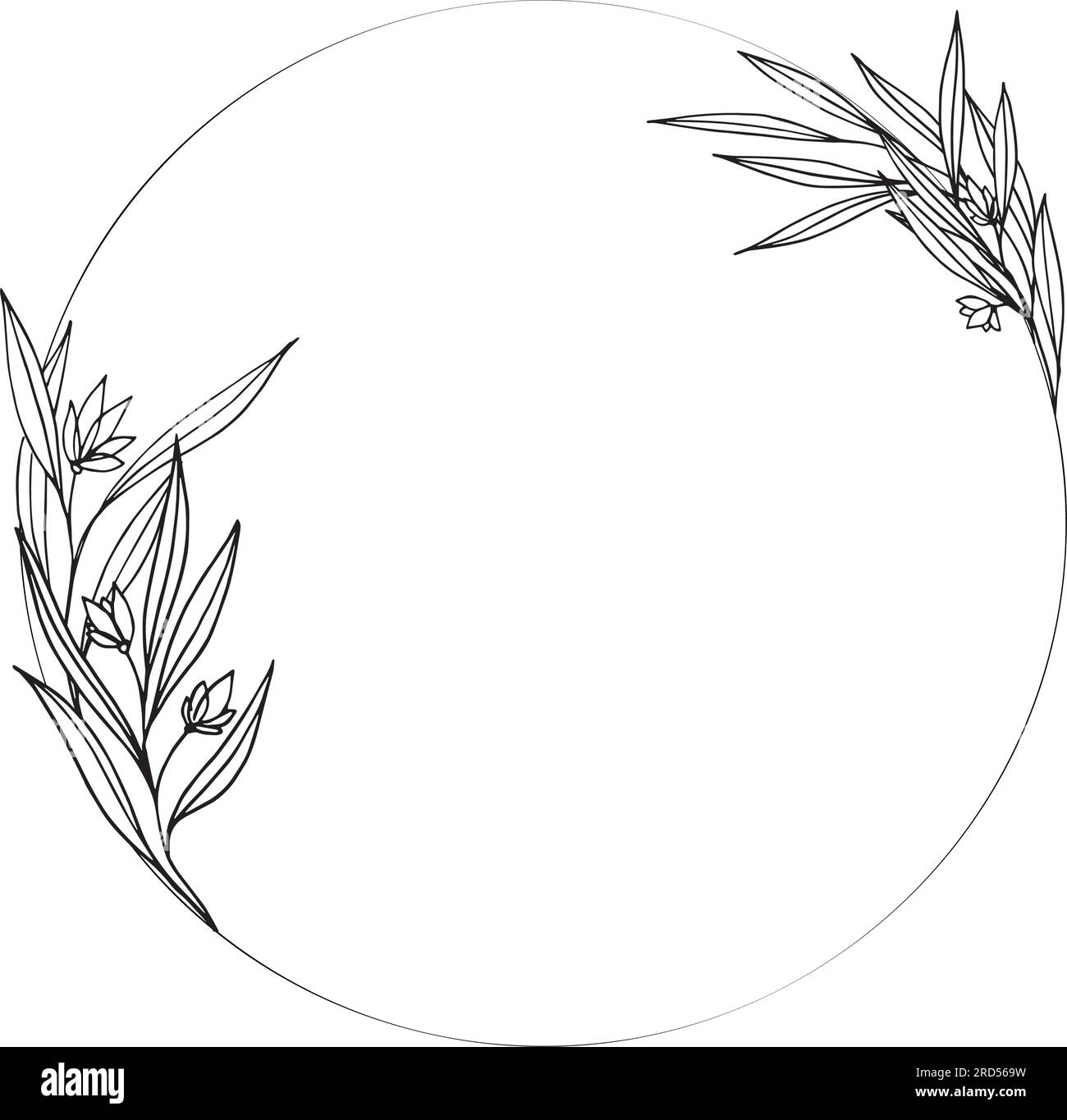 Vector hand drawn botanical circle frame with flowers. Elegant minimal ...