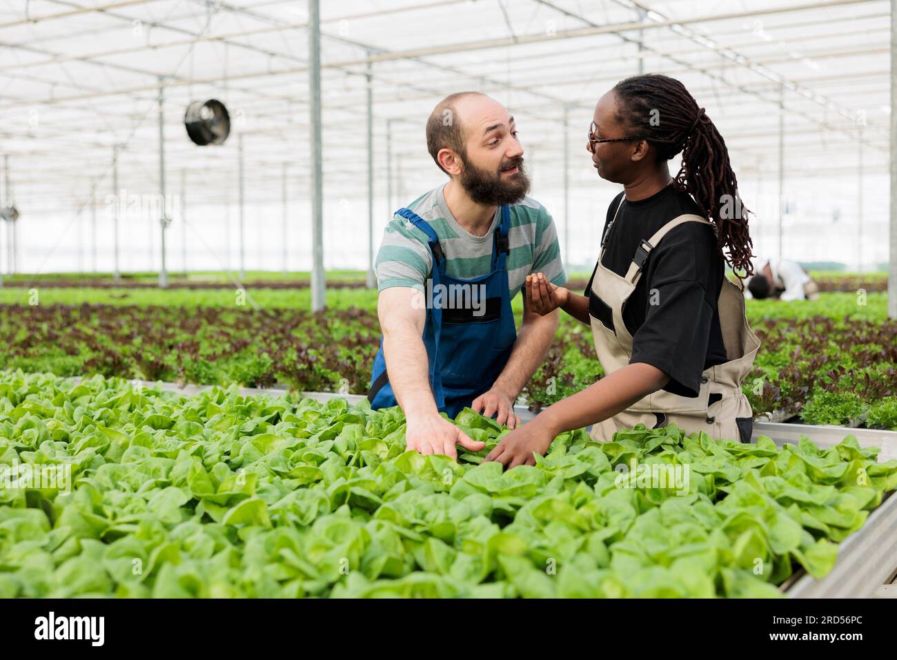 Farm workers happy with the certified organic eco friendly bio ...