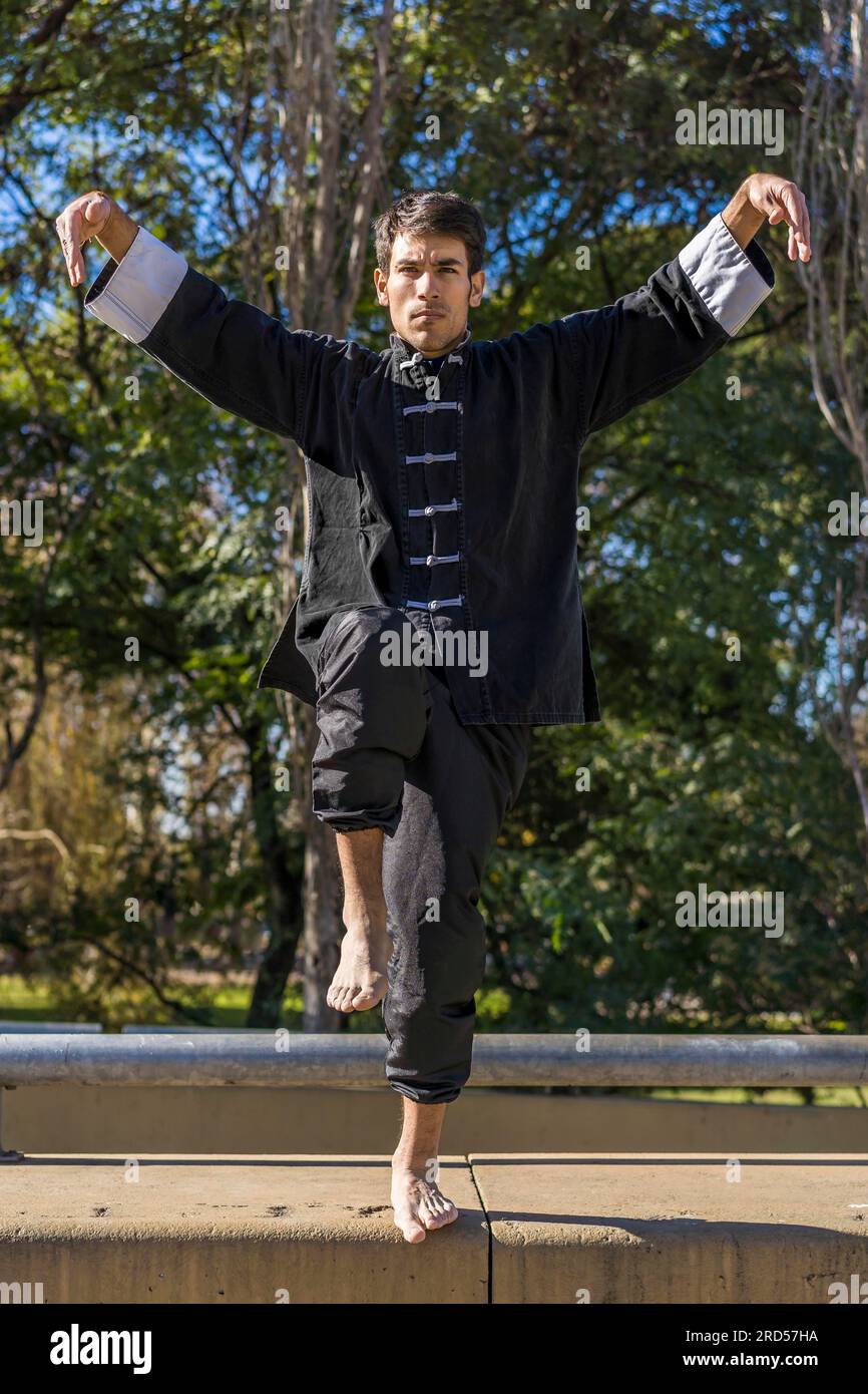 Martial arts fighter practicing crane pose Stock Photo - Alamy