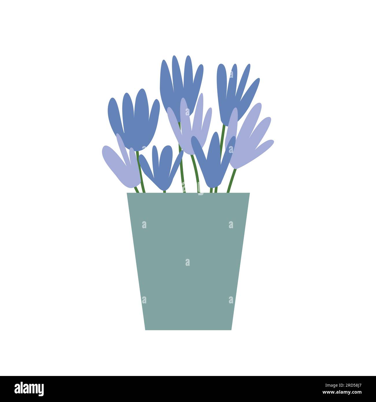 Camomile wild flower in Stock Vector Images - Alamy