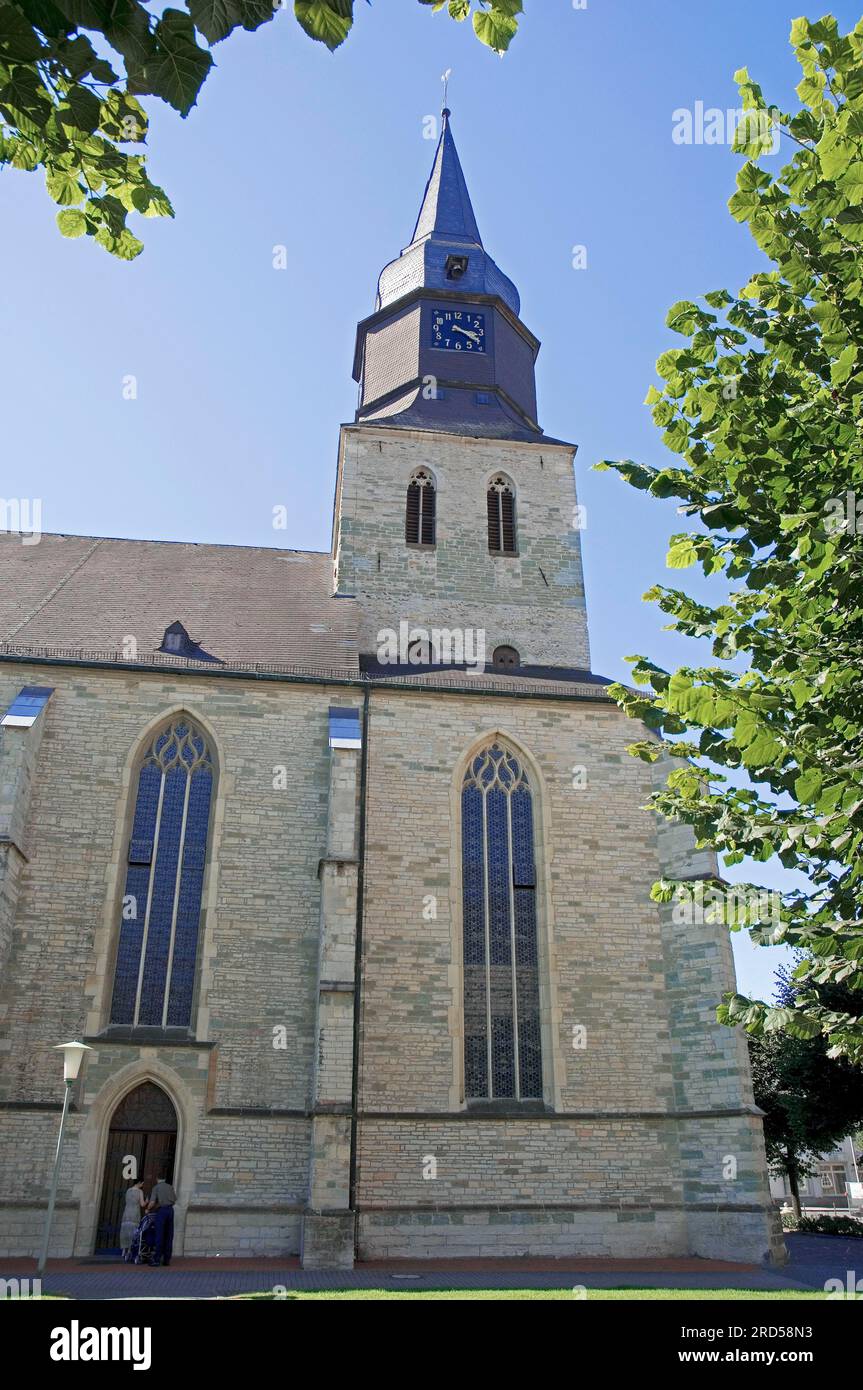 Propsteikirche St. Stephanus, Beckum, Muensterland, North Rhine ...