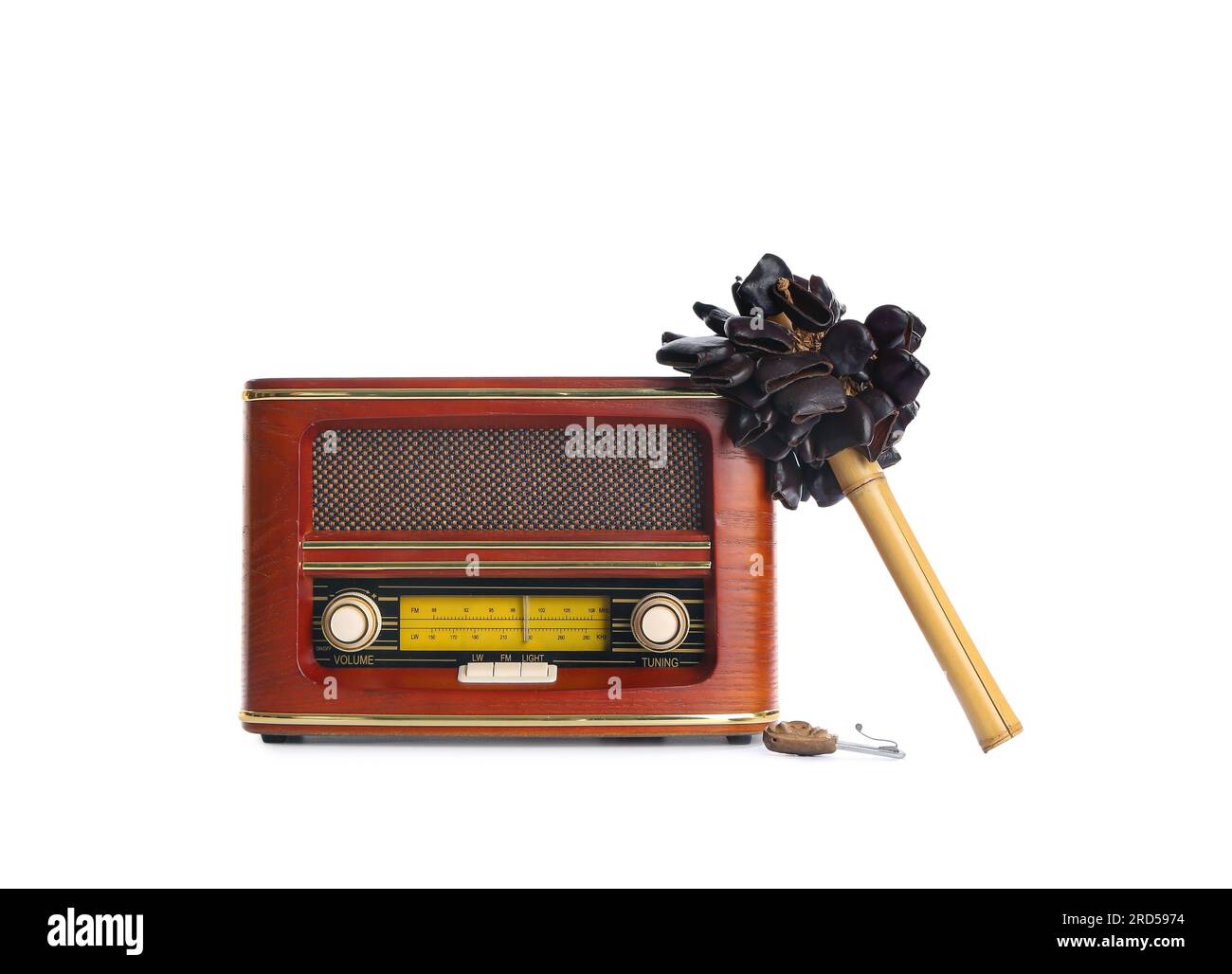 Different musical instruments and retro radio receiver on white ...
