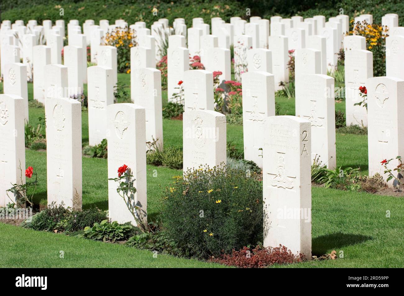 Gravestones at Airborne Cemetery, Oosterbeek, Netherlands, Fallen ...