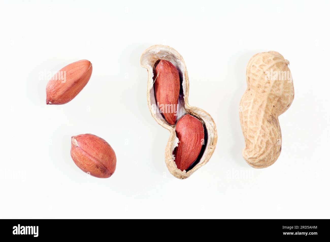 Peanuts (Arachis hypogaea) peanut Stock Photo - Alamy