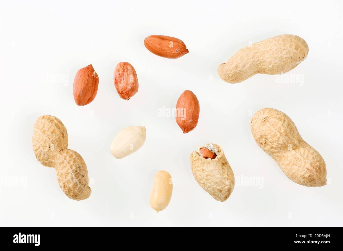 Peanuts (Arachis hypogaea) peanut Stock Photo - Alamy