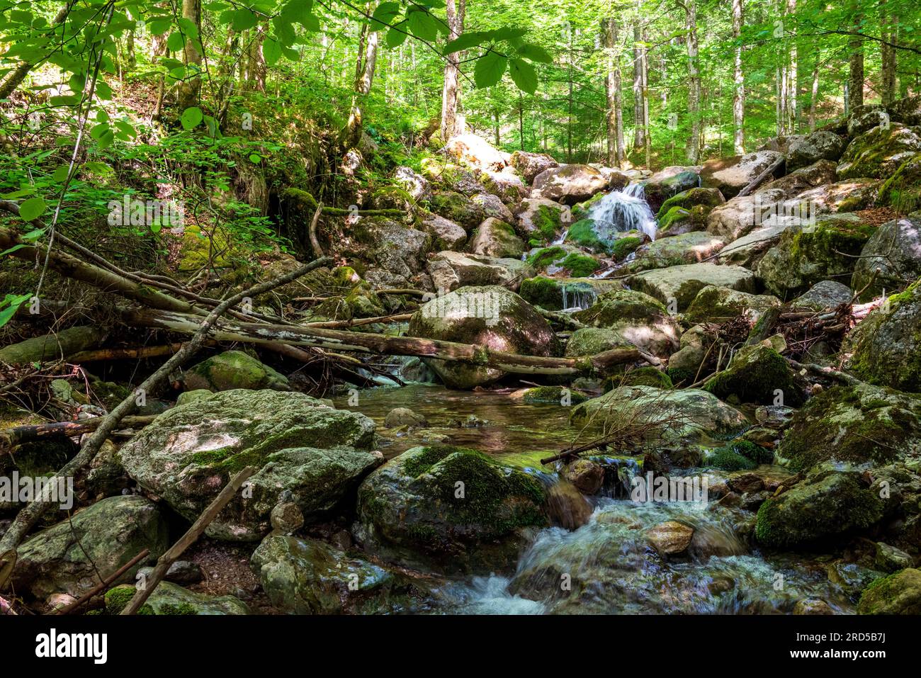 Deserted water sources hi-res stock photography and images - Alamy