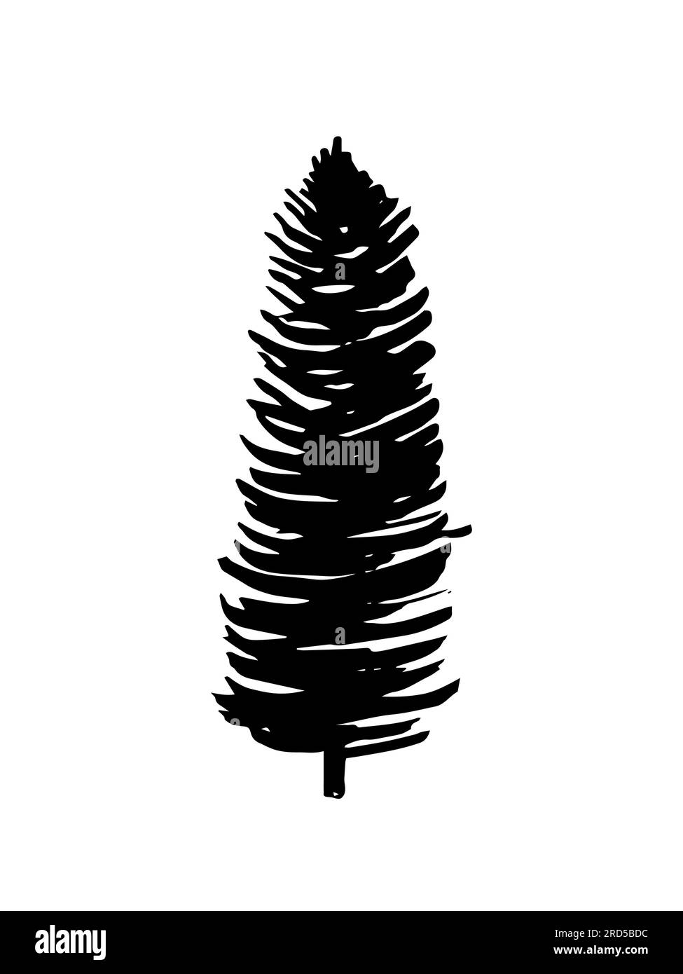 Hand drawn fir tree Stock Vector Image & Art - Alamy