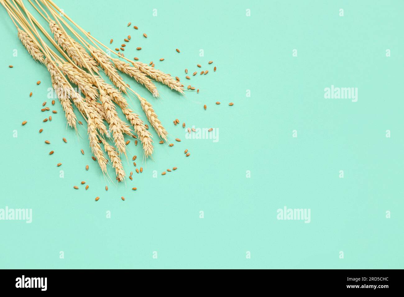 Wheat ears and grains on turquoise background Stock Photo - Alamy
