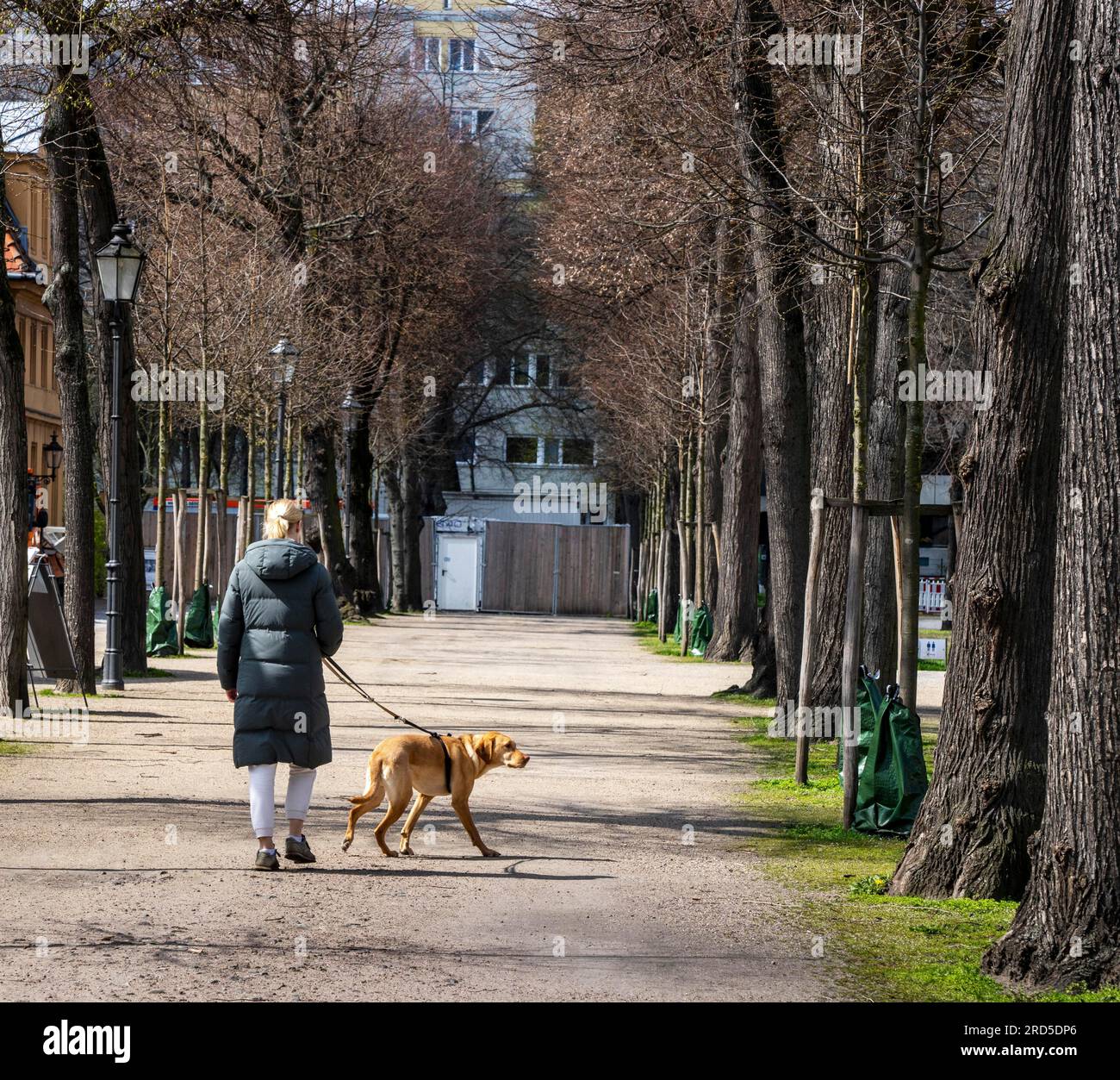 Two people walk dog hi-res stock photography and images - Alamy