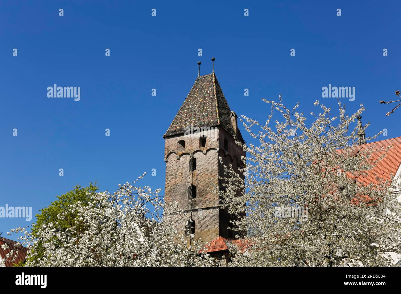 Metzgerturm, medieval city gate, brick tower, city fortification, trees ...