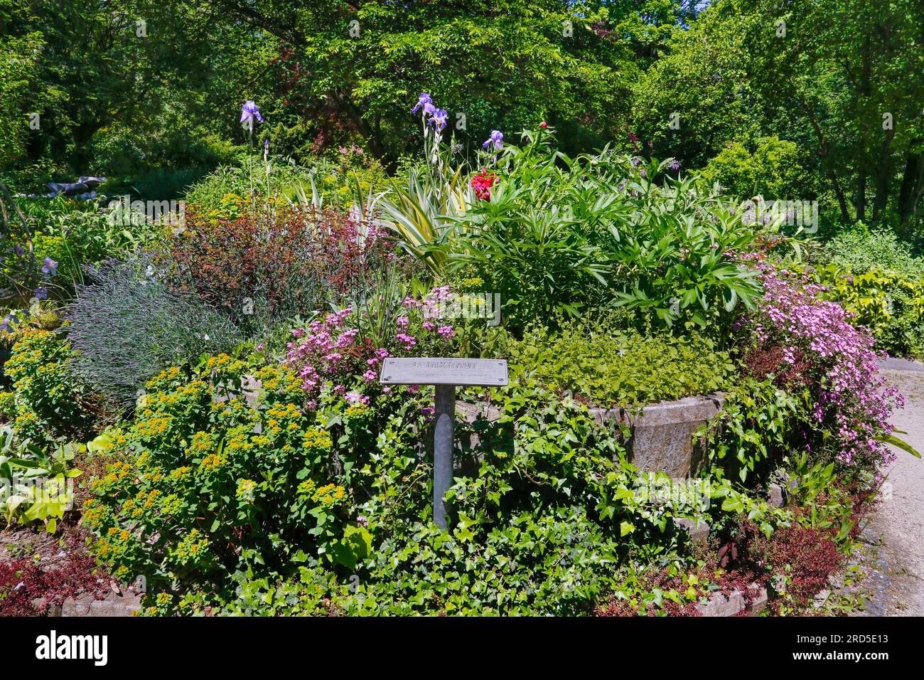 Information board with Braille, Scent and touch garden at Kobelgraben ...