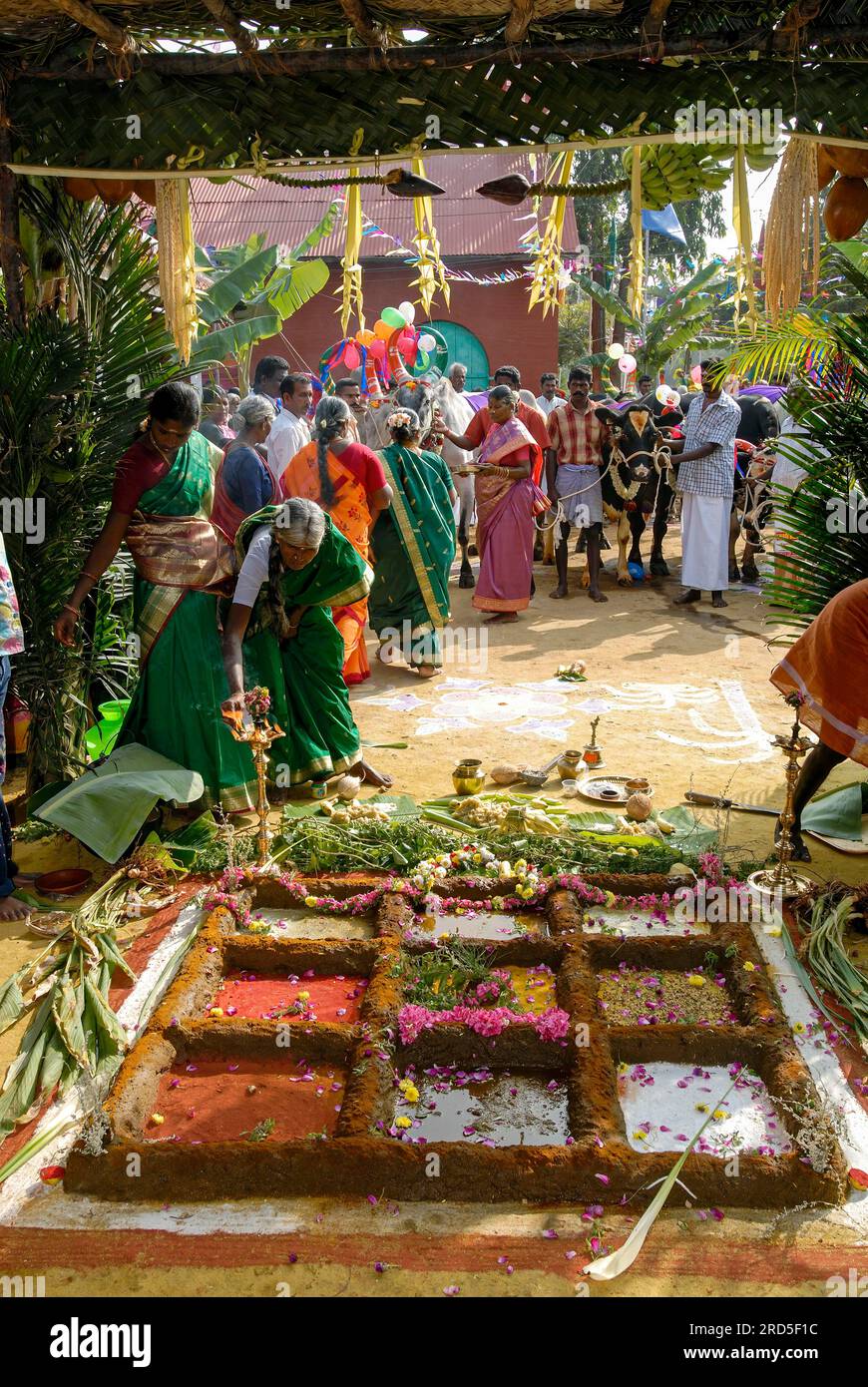 Women worshipping the field, representation of a 9 grain field at ...