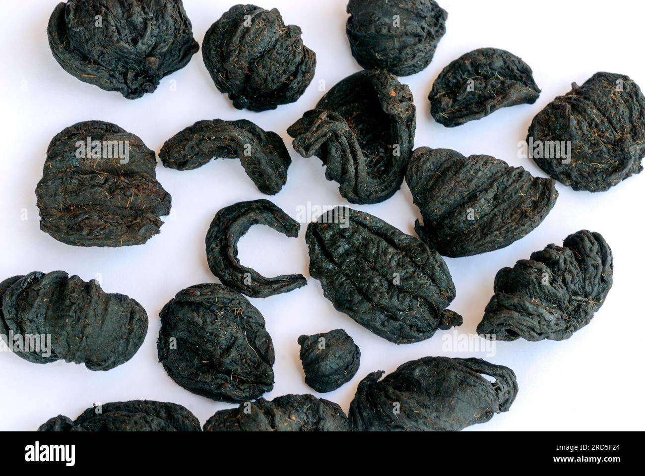 Gummi kerala hi-res stock photography and images - Alamy