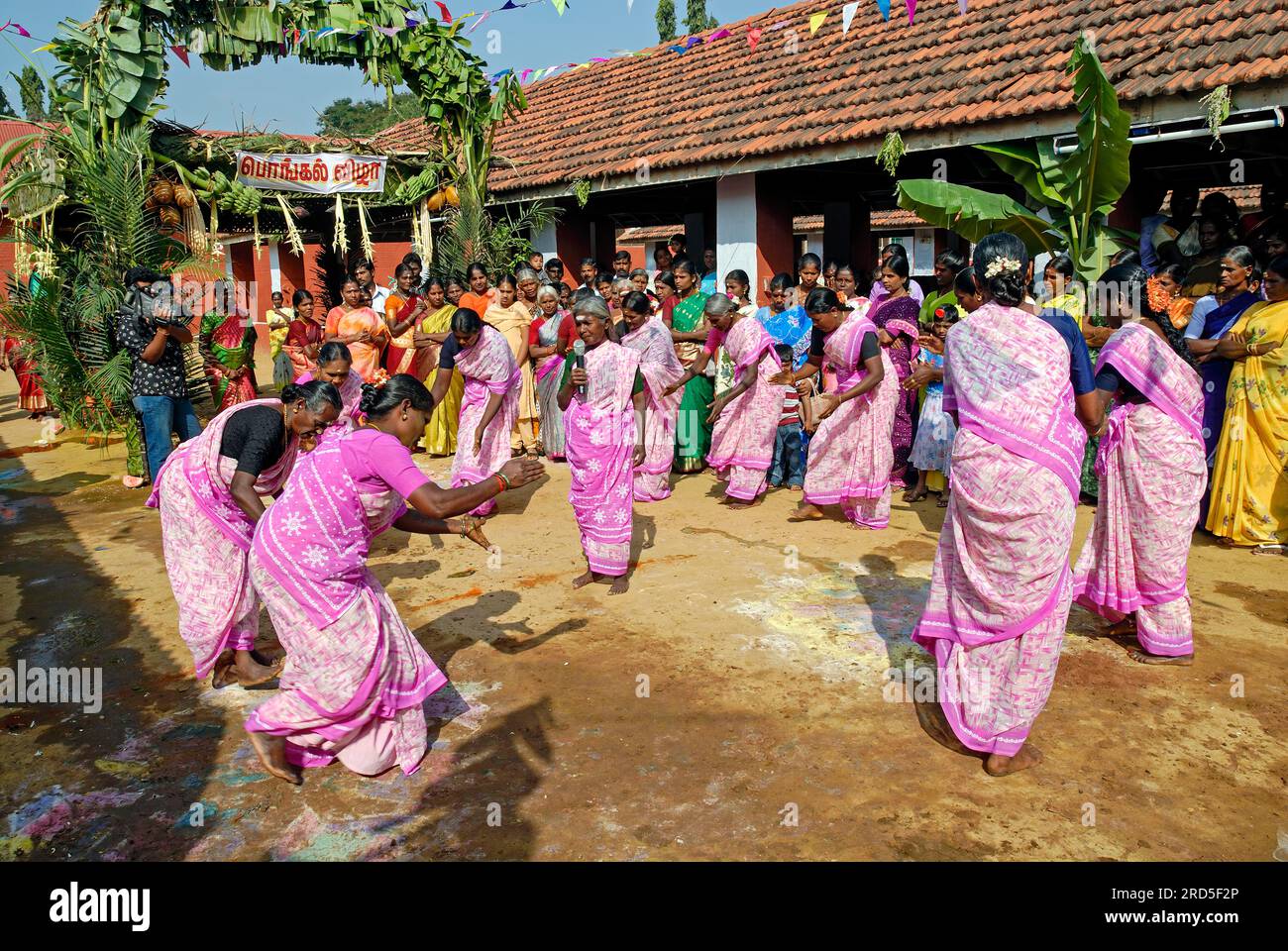 Women clapping hands folk dance called kummi during Pongal celebration at Coimbatore, Tamil Nadu ...