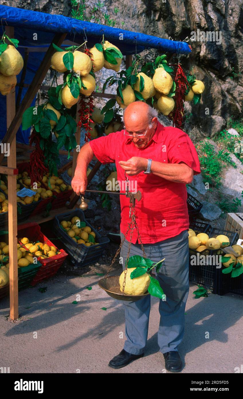 Fruit seller selling and weighing giant lemons, fruit seller, lemon ...