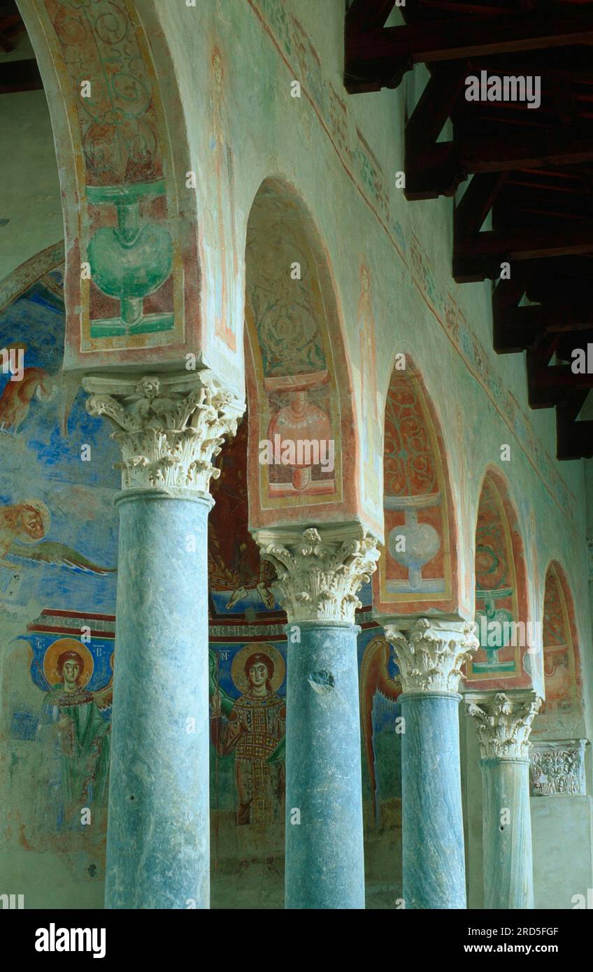 Formis hi-res stock photography and images - Alamy