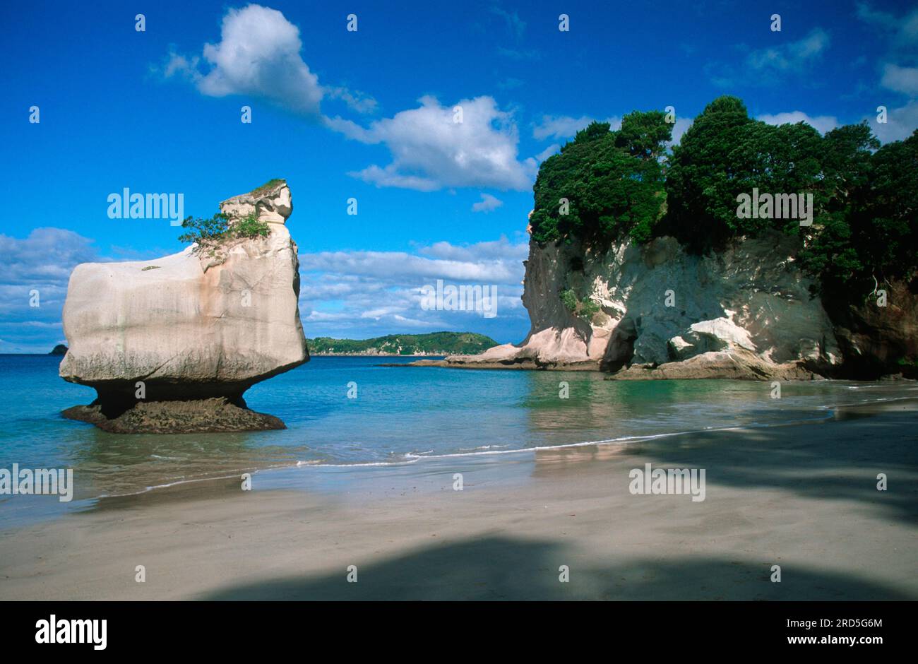 Rock Coast, Mercury Bay, Coromandel Peninsula, North Island, New ...