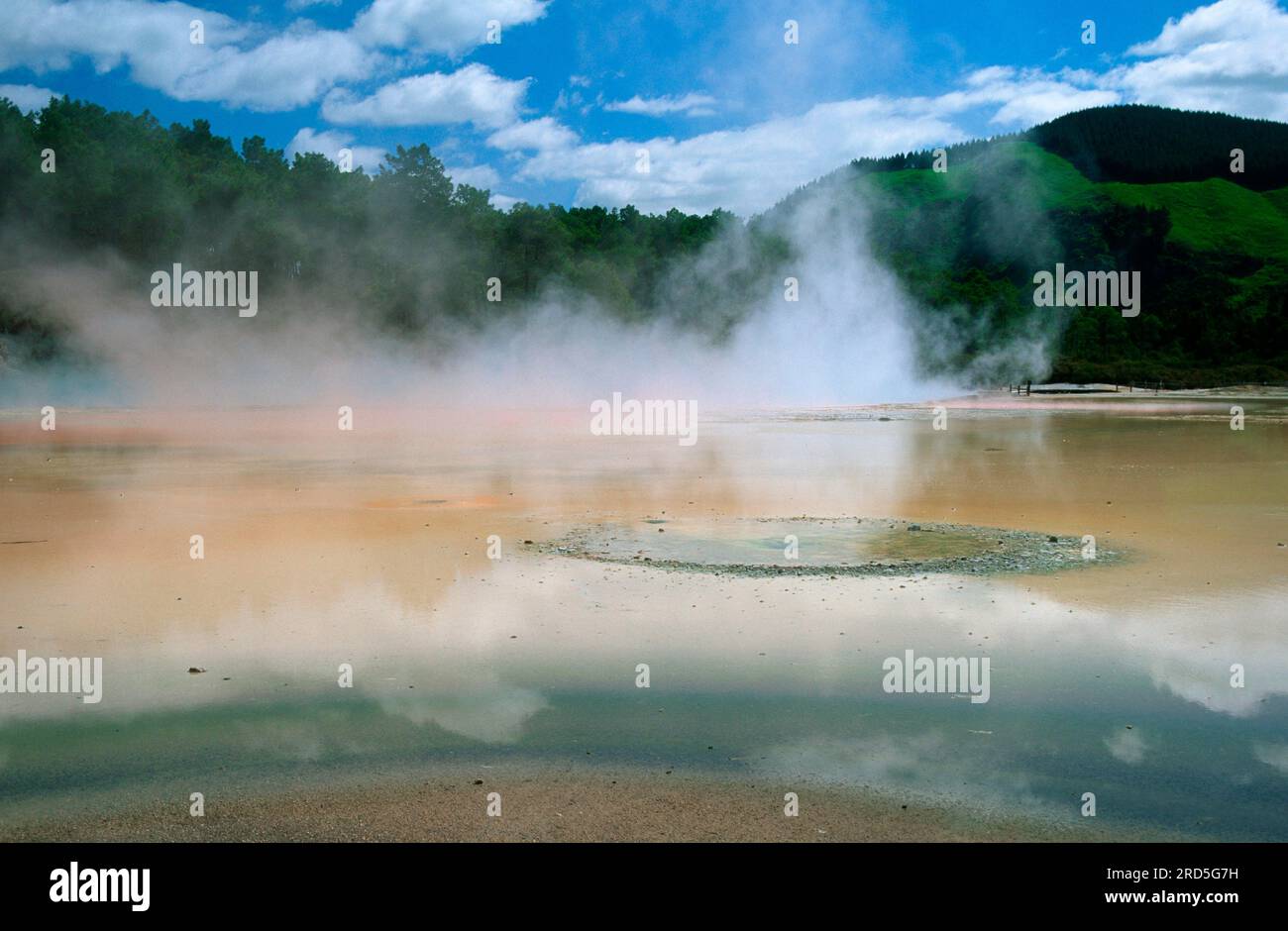 Hot Springs, Wonderland, Champagne Pool, Wai-o-tapu Thermal Area ...