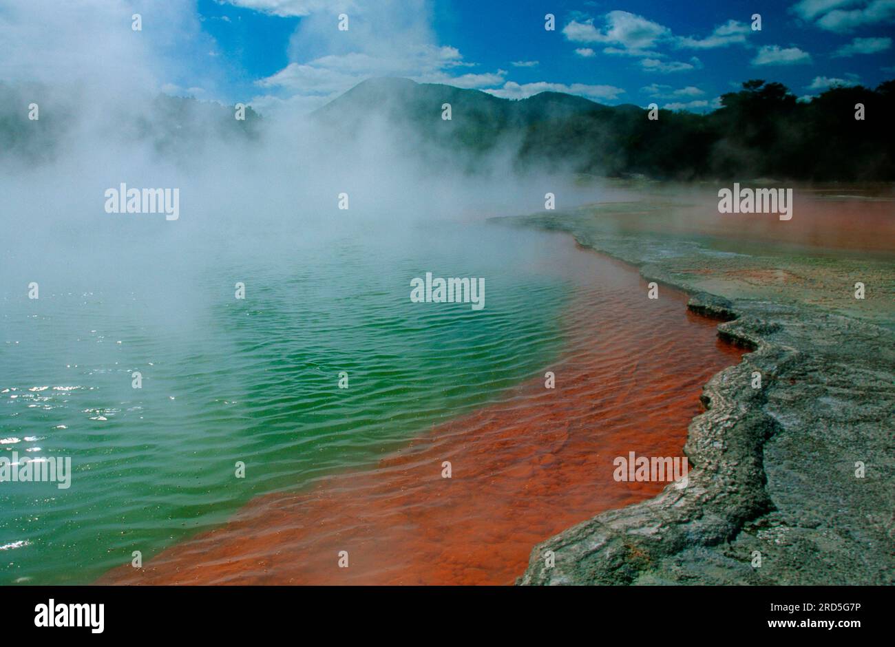 Hot Springs, Wonderland, Champagne Pool, Wai-o-tapu Thermal Area ...