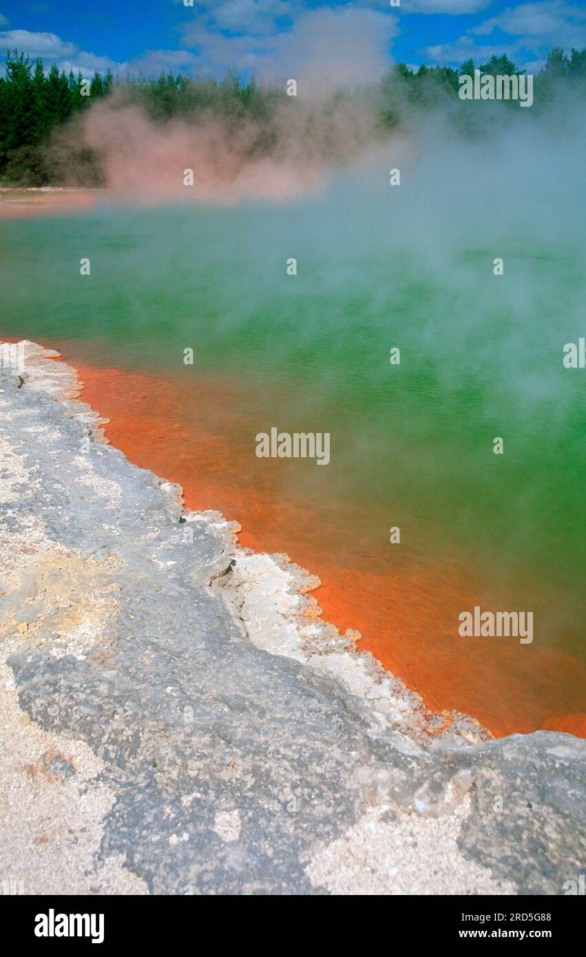 Hot Springs, Wonderland, Champagne Pool, Wai-o-tapu Thermal Area ...