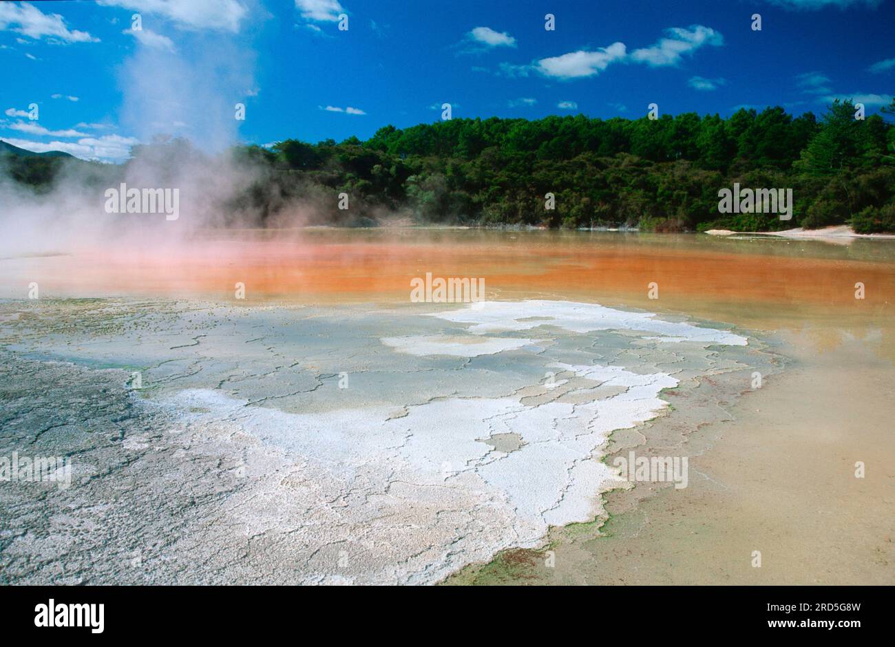 Hot Springs, Wonderland, Champagne Pool, Wai-o-tapu Thermal Area ...