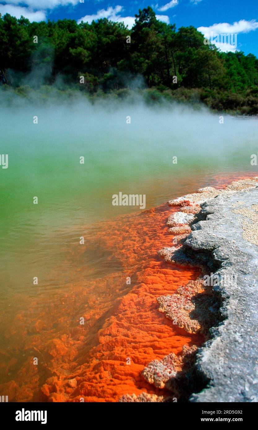Hot Springs, Wonderland, Champagne Pool, Wai-o-tapu Thermal Area ...