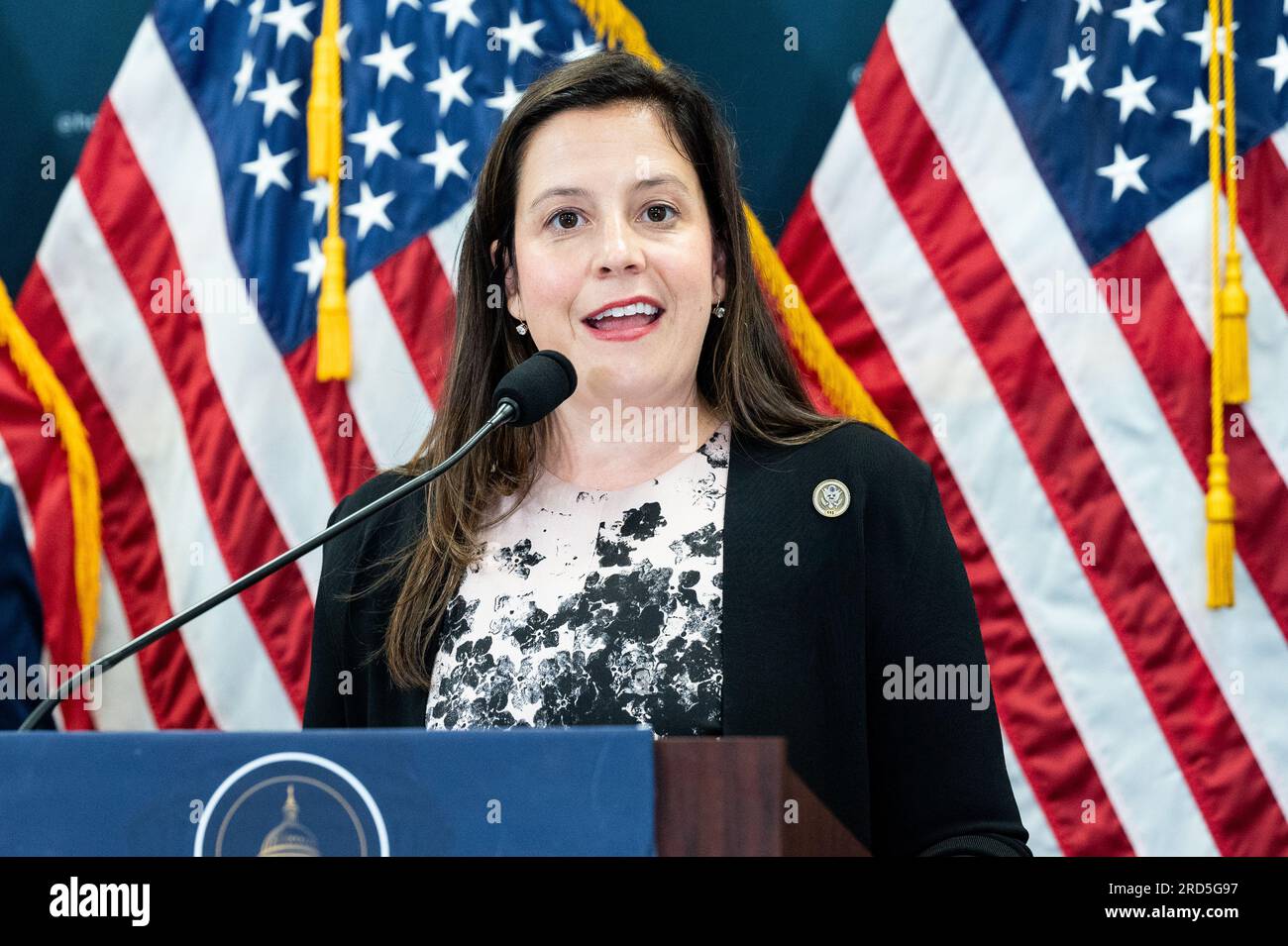 Washington, United States. 18th July, 2023. U.S. Representative Elise ...