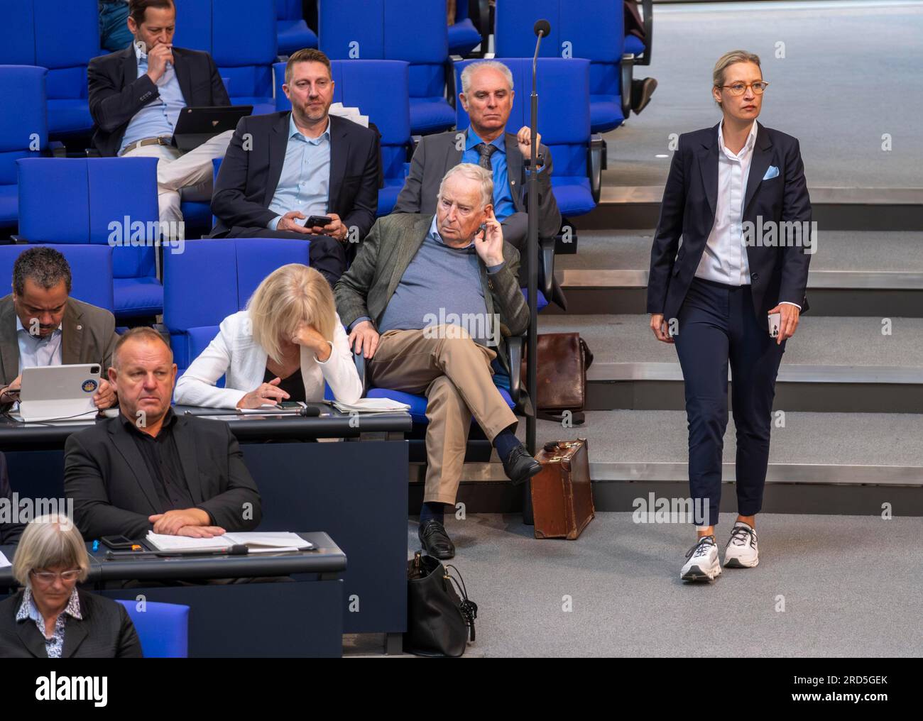 Alice weidel hi-res stock photography and images - Alamy