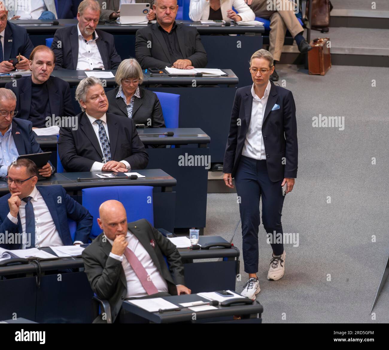 Dr Alice Weidel, llinks, second row Tino Chrupalla, Germany, Berlin, 06 ...