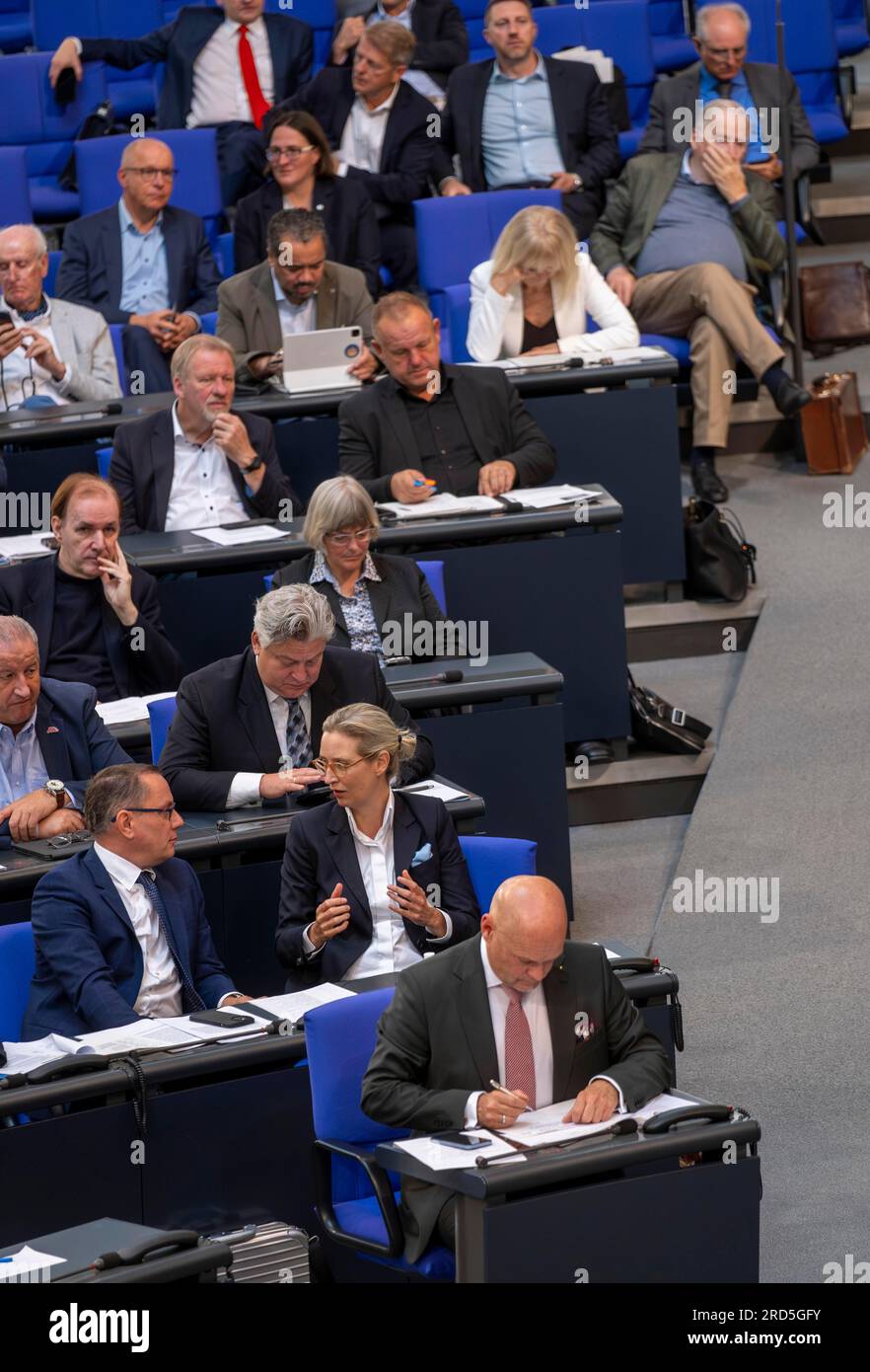 2nd row, from left to right: Tino Chrupalla, Dr Alice Weidel, top right ...