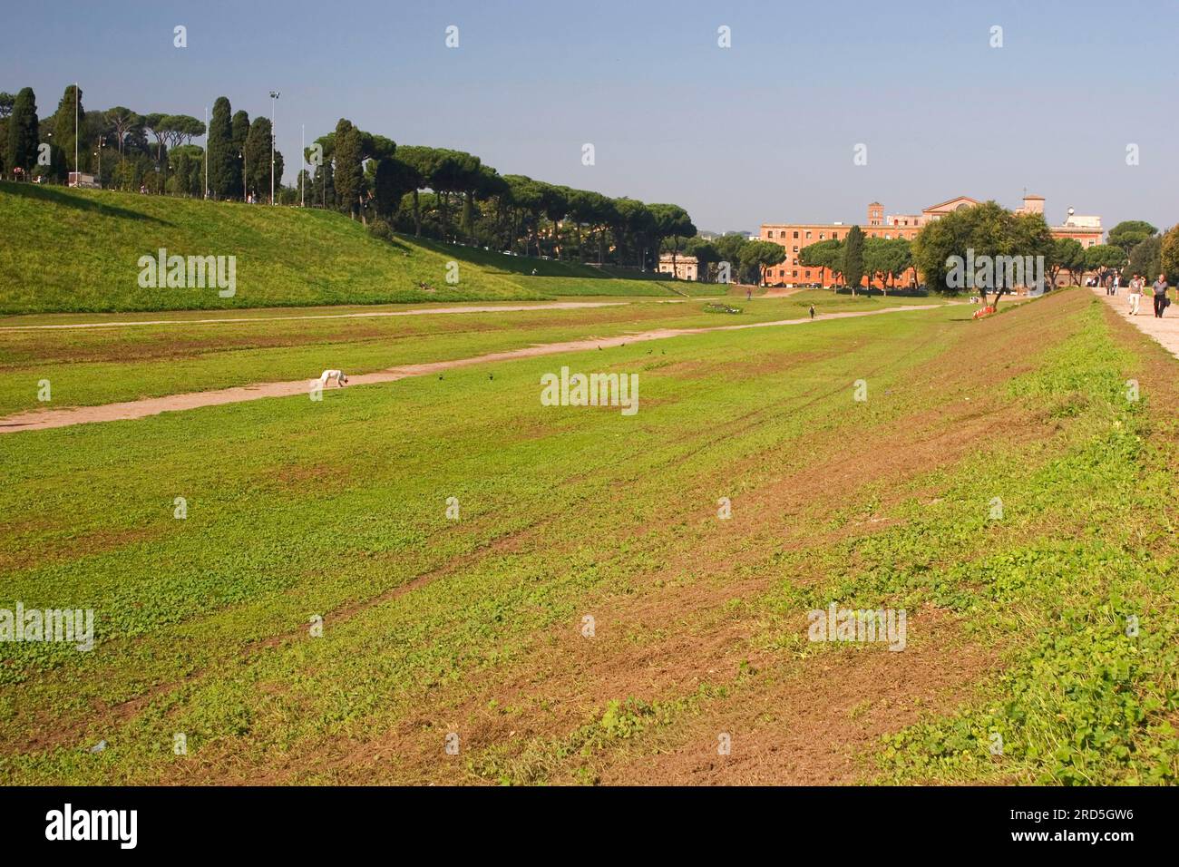 Deserted circus maximus hi-res stock photography and images - Alamy