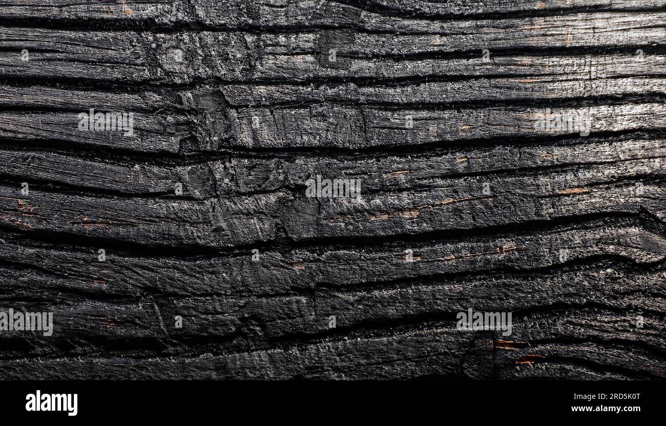 Charcoal Wood Texture