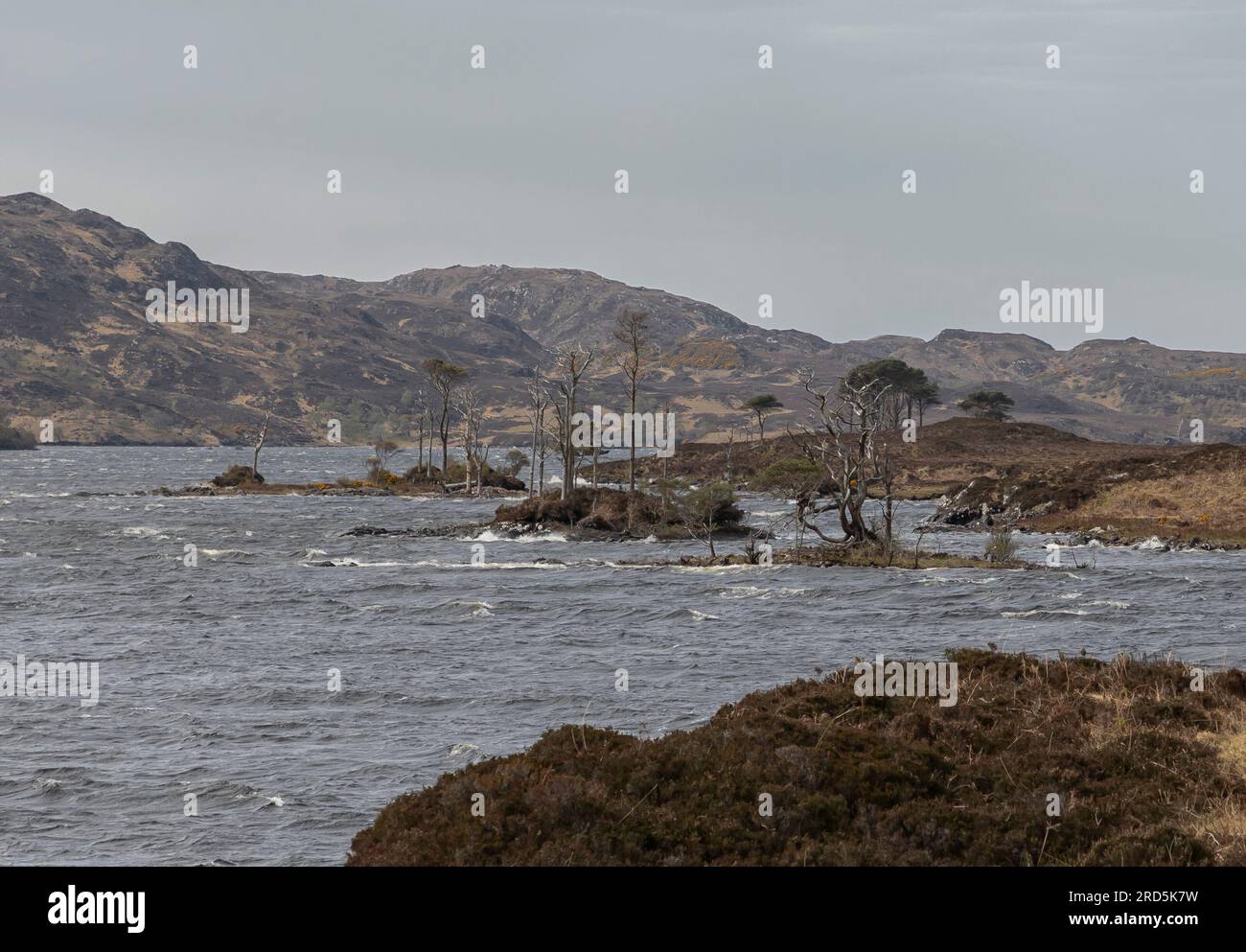 Stark scottish landscape of a loch with small islands on a windy day ...
