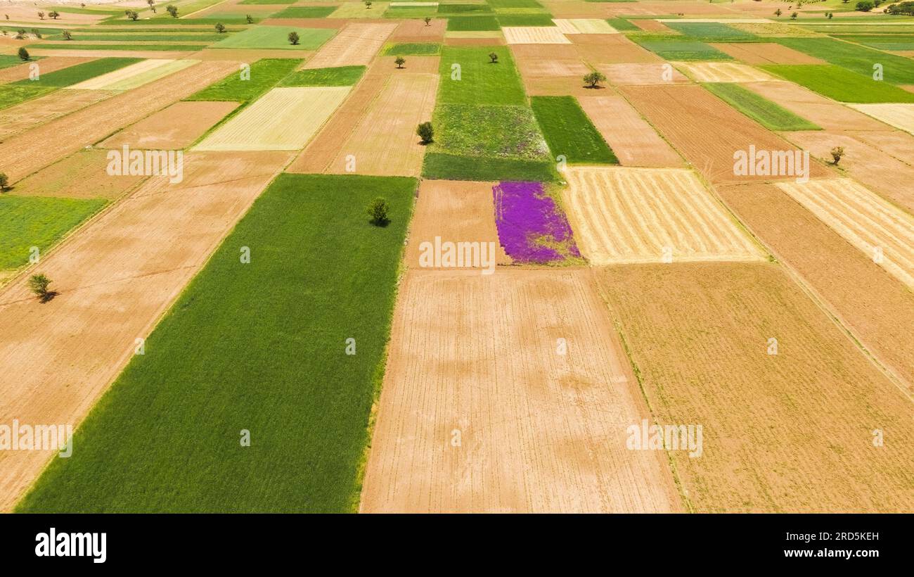 Aerial view yellow fields hi-res stock photography and images - Alamy